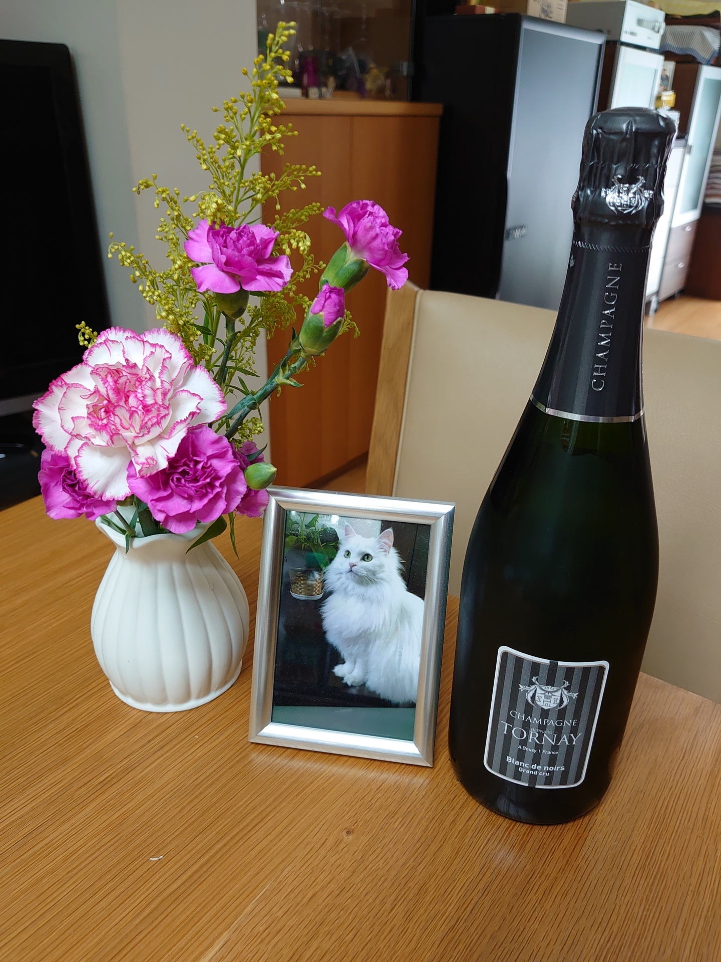 ララ 11回目の月命日: 白猫ララ日記